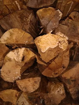 Show Us Your Fuzzy Wood | Hearth.com Forums Home