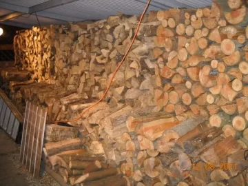 Complex Yellow Jacket Nest in my Wood Pile (PICS) Now, What? | Hearth ...