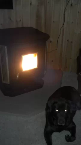 Englander 25-PDV - what are good settings for the bottom 3 buttons ...